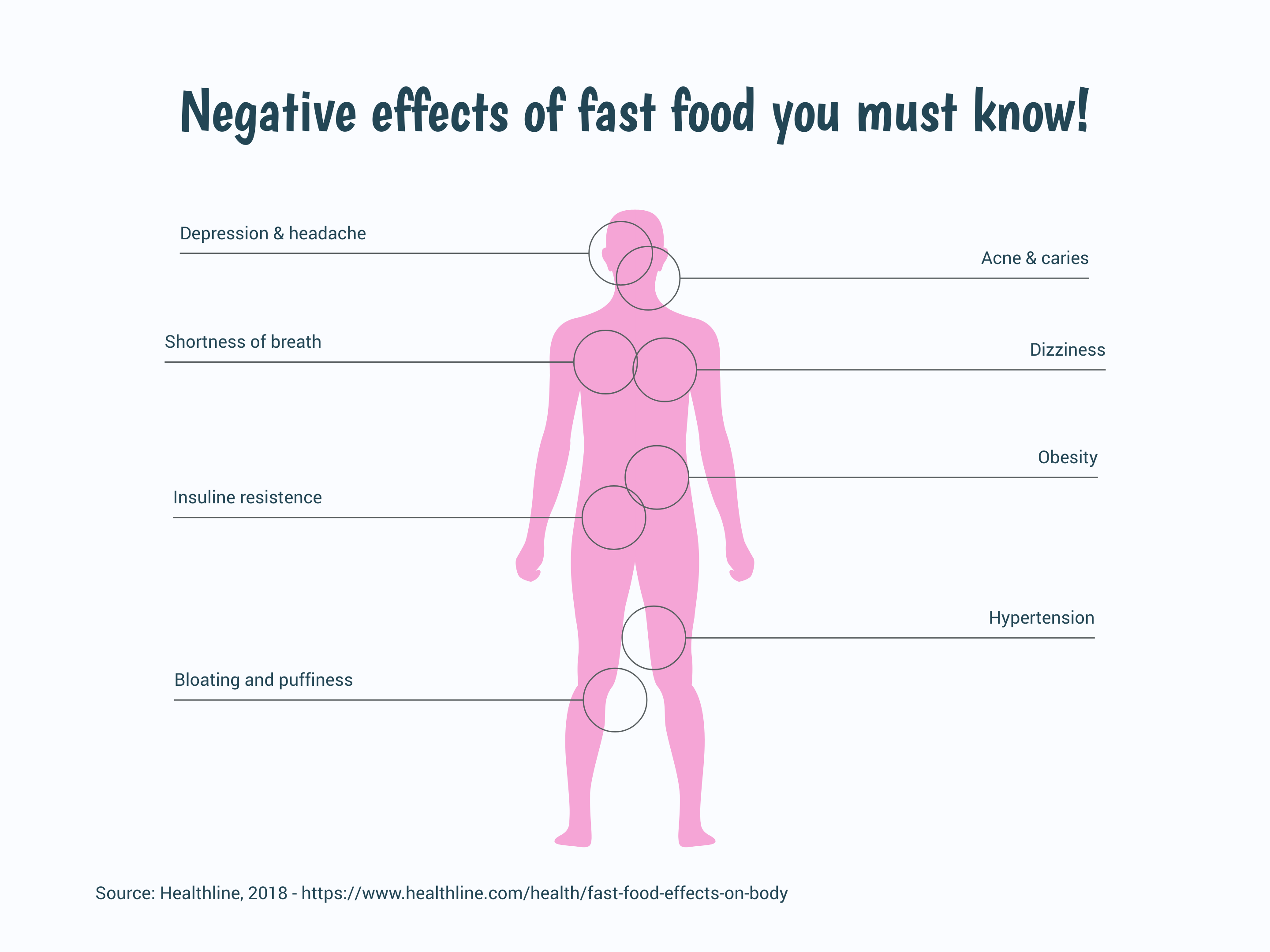 Negative effects of fast food you must know! (Human Body example) — Vizzlo