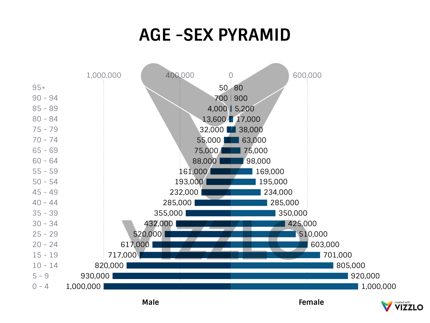AGE -SEX PYRAMID — Vizzlo