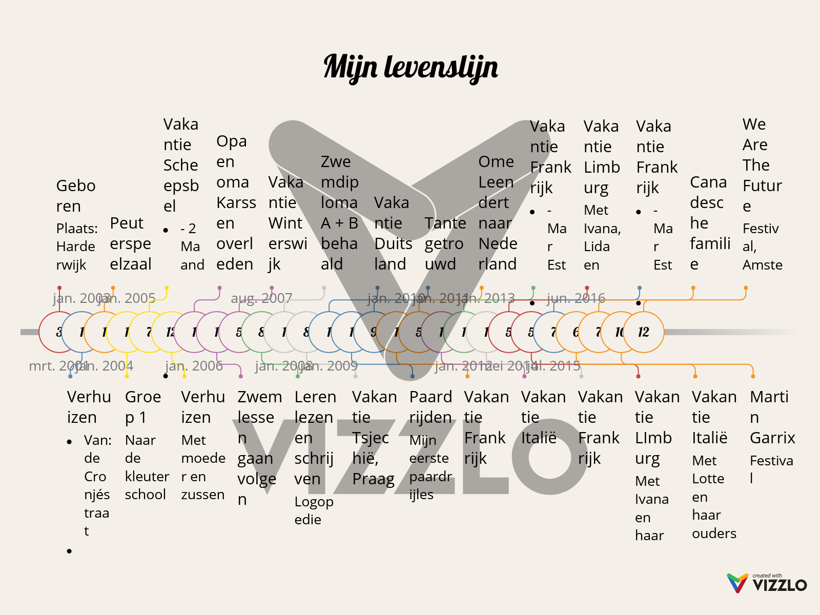 Mijn levenslijn — Vizzlo