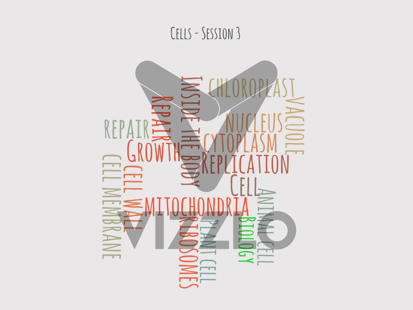 Cells - Session 3 — Vizzlo