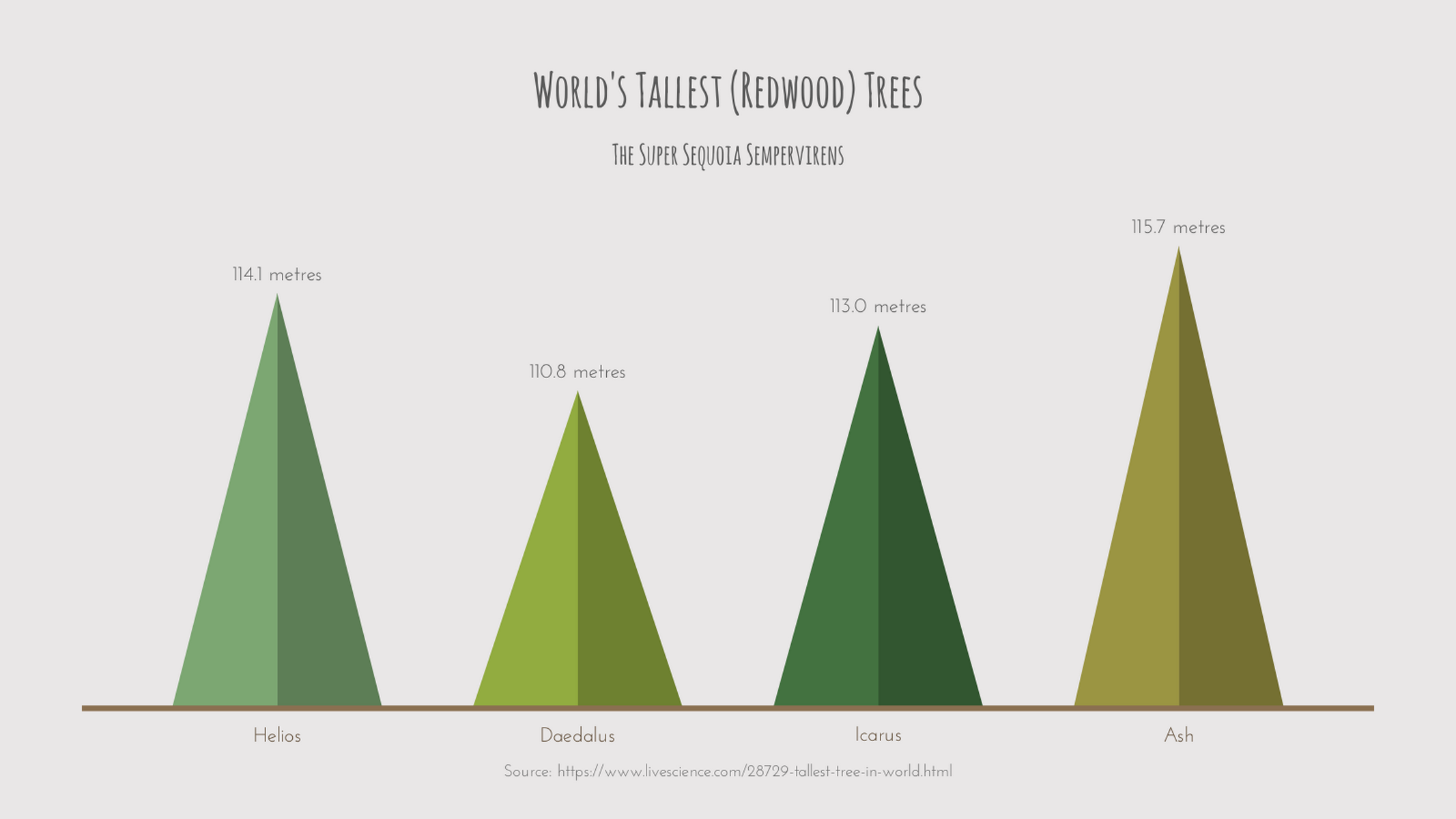 Triangle Bar Chart Maker 100 Stunning Chart Types — Vizzlo